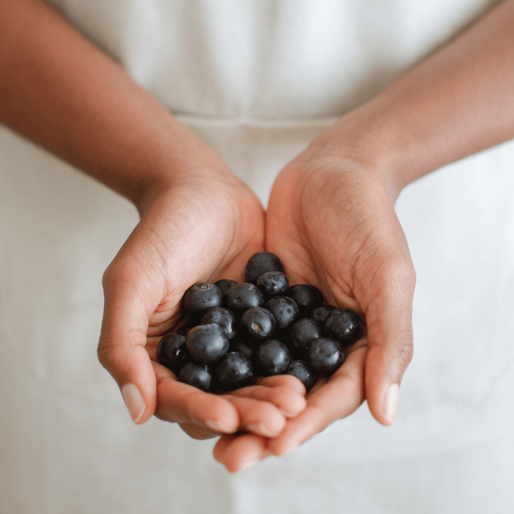 The Gut-Fertility Connection: How Your Gut Health Impacts Conception ...
